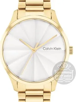 Calvin Klein Burst Horloge CK25200232 dames Goud