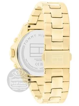 Tommy Hilfiger Aspen horloge TH1782640 dames staal goud