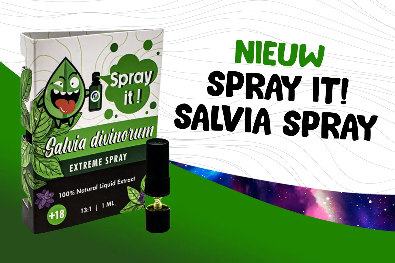 Nieuw: Salvia Divinorum Spray voor een intense trip! | Dutch-Smart.nl