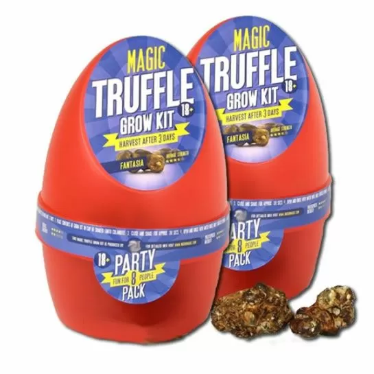 2X Growkit Fantasia Magic Truffle growkit | Dutch-smart.nl