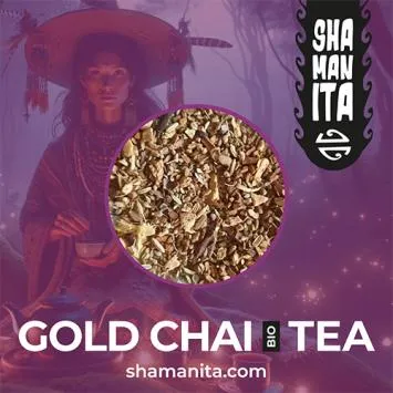 Gold Chai BIO Tea | Dutch-Smart