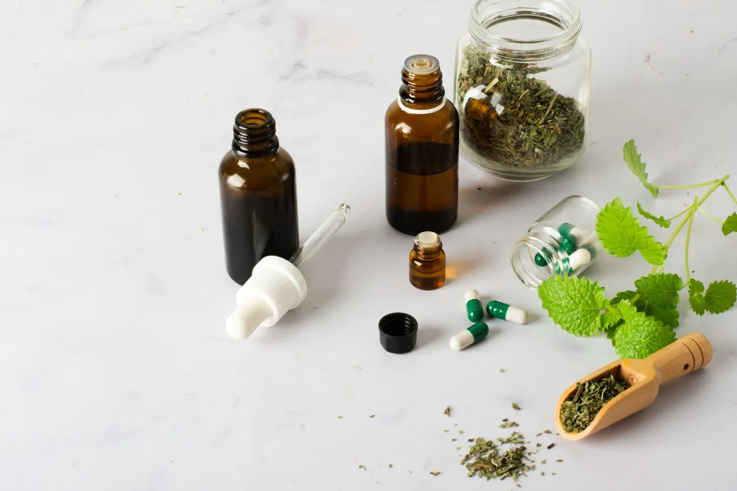 Exploring the potent world of herbal extracts | Avalon Magic Plants