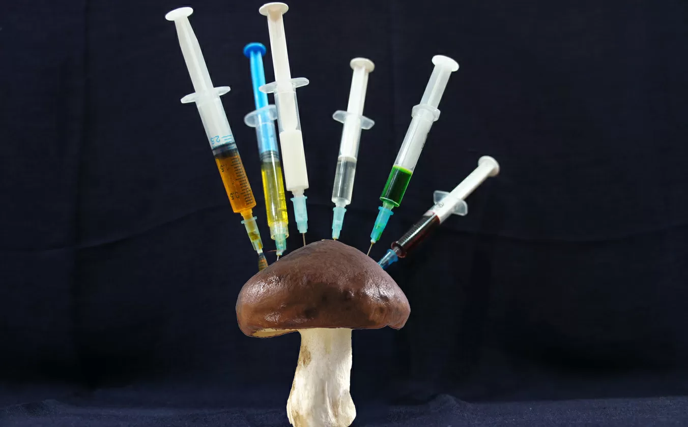 Man injects magic mushrooms and they continue to grow in his body