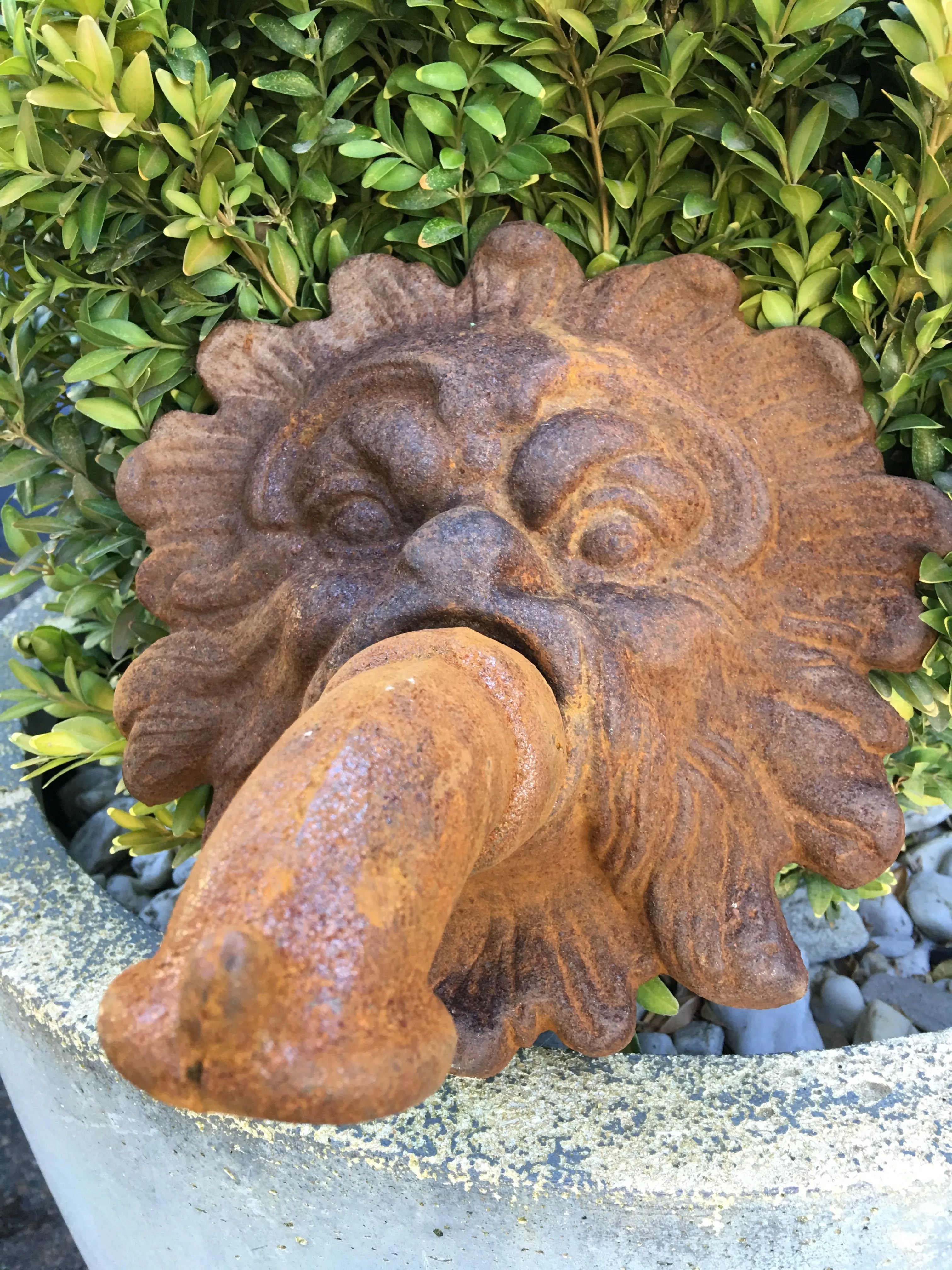 Waterspuwer Neptun – gietijzer – 20 cm – historisch