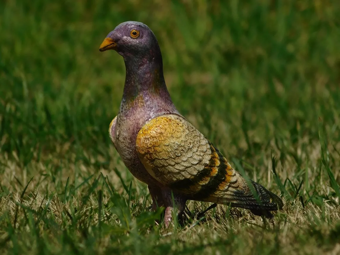 Pigeon - statue en métal - 19 cm - en couleur - détaillée