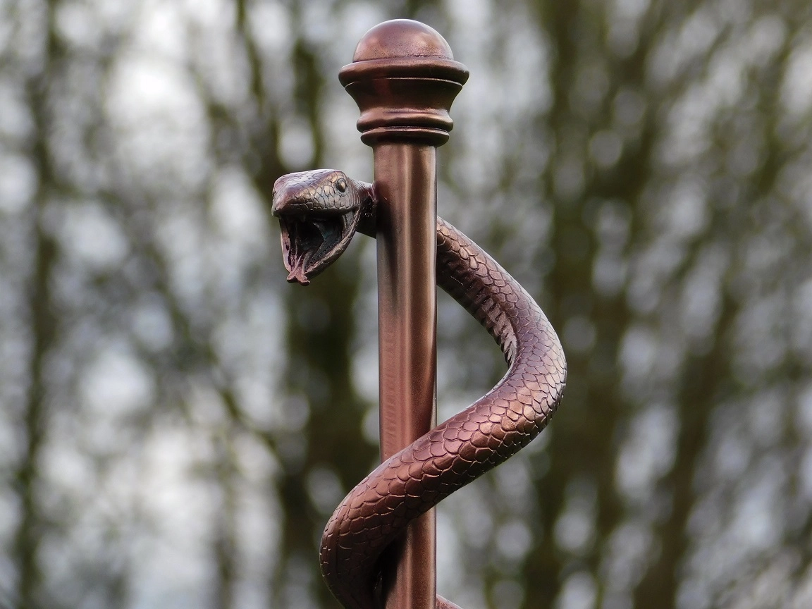 Escula Affenschlange in Bronzeoptik, schöne Skulptur - Houseandgarden ...