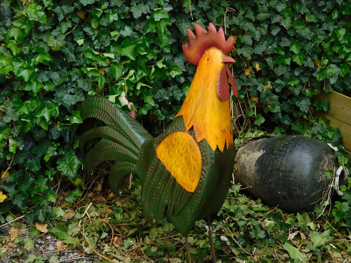 Hahn - Metallstatue - 100 cm - handgefertigt - in Farbe