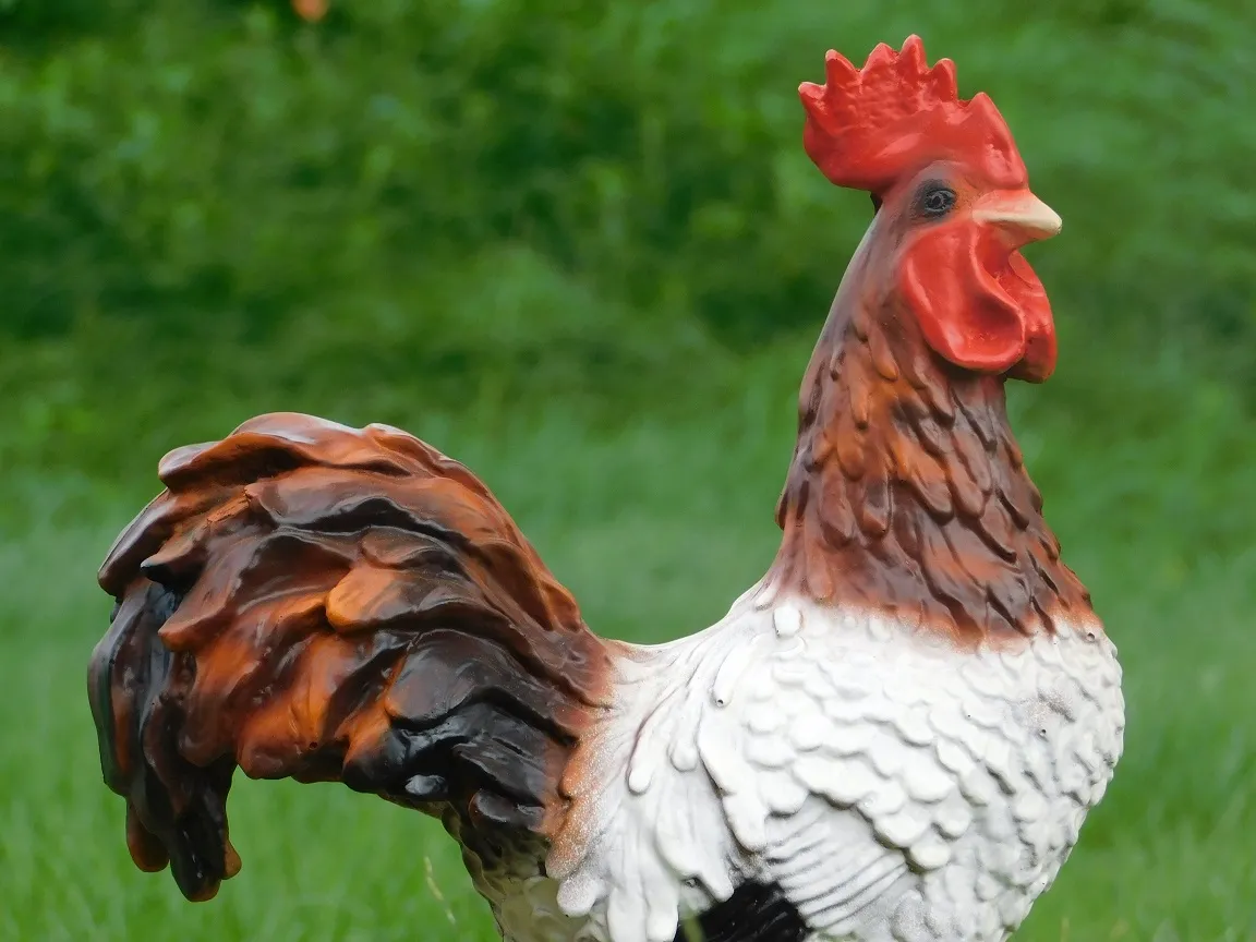 Haan - polystone - 40 cm - in kleur - gedetailleerd