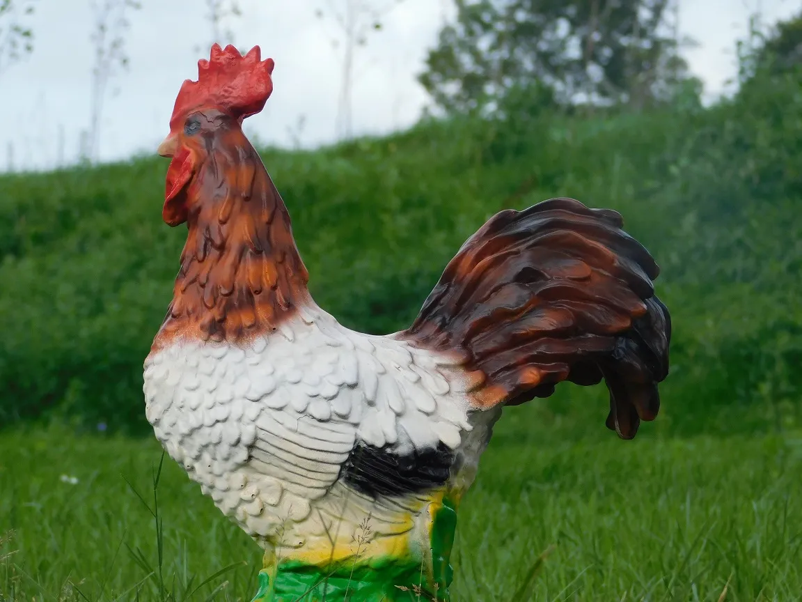 Haan - polystone - 40 cm - in kleur - gedetailleerd