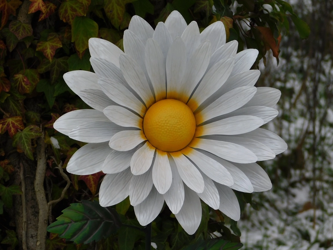 Eenmalig: margriet XL van metaal - tuinsteker - vol in kleur