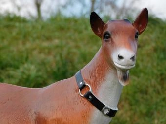 Paardenhoofd - polystone - 64 cm - goud/zwart - in detail