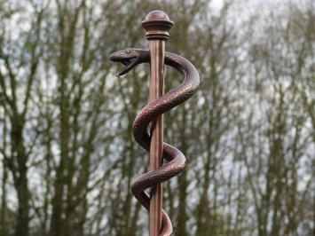 Esculaap-slang in brons look, prachtig beeld - Houseandgarden.shop ...