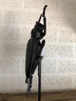 Kever polystone black op metalen stand - Houseandgarden.shop ...