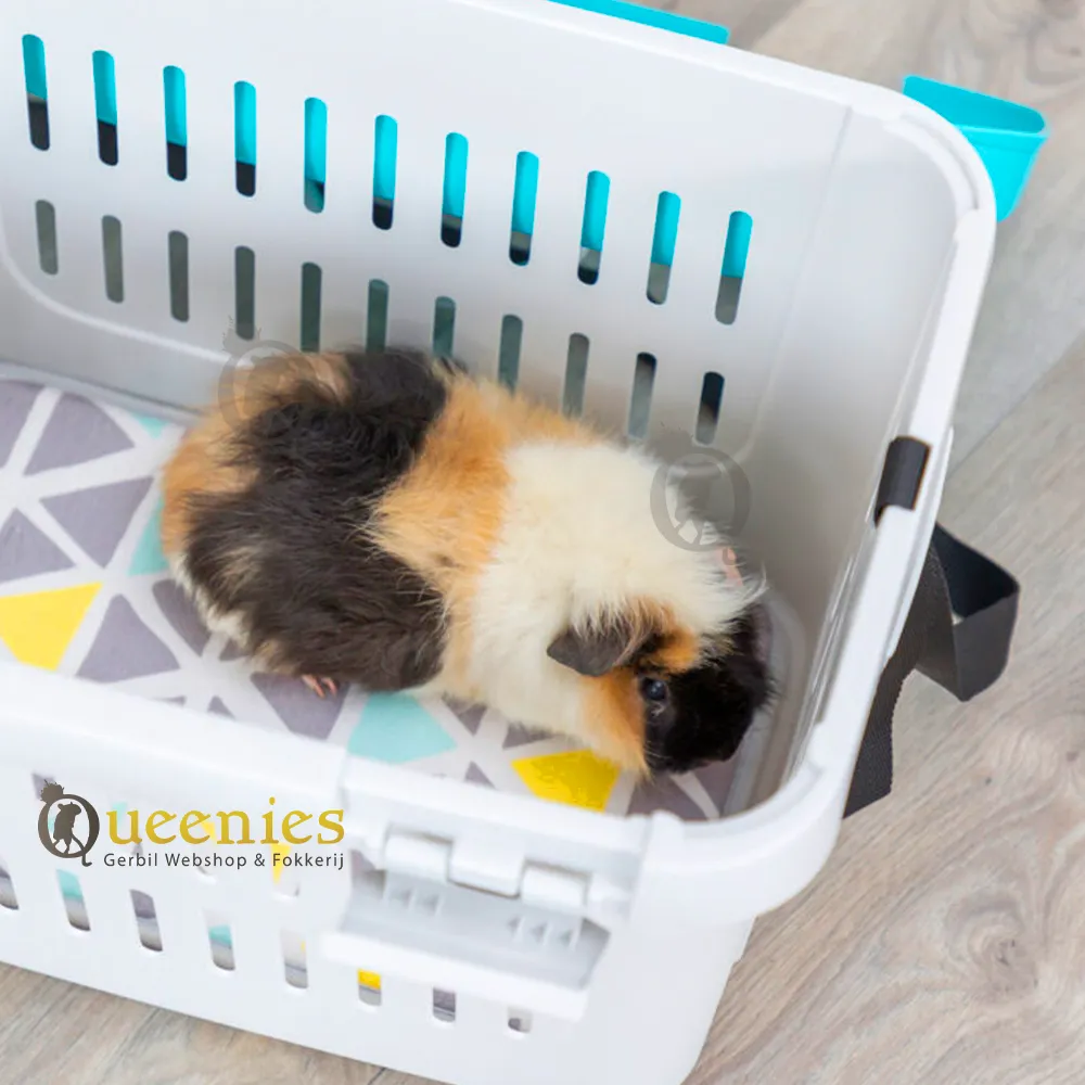 Vervoersbox Mini Capri voor Cavia’s en Konijnen