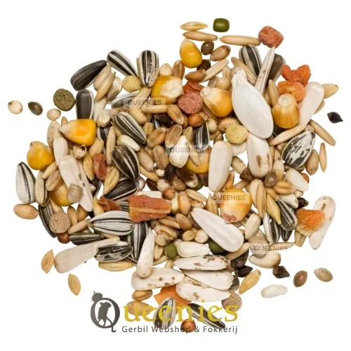 Papegaai voer als voedselverrijking voor Gerbils en Hamsters