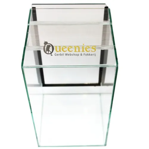 Insecten terrarium voor de kweek van spinnen of wandelende takken