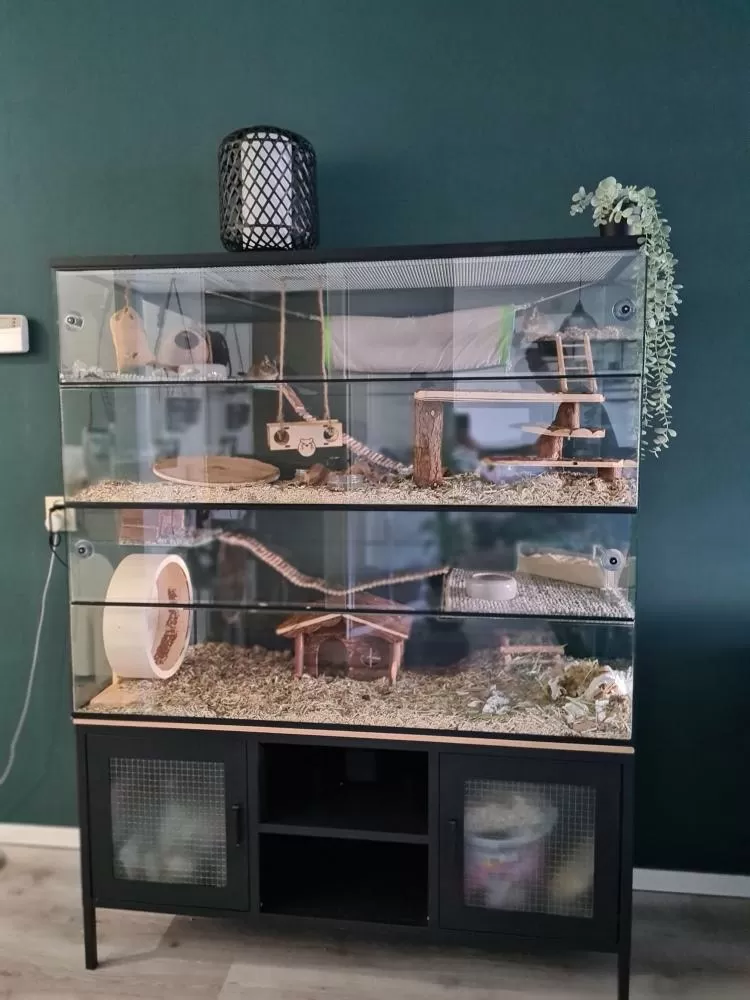 Op maat gemaakte Knaagdieren Terrarium 120x45x100 voor Degoes