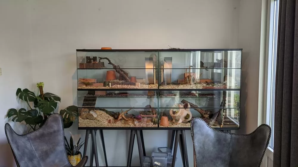 Degoe Terrarium 200x50x100 - Mega Villa voor grote Knaagdieren