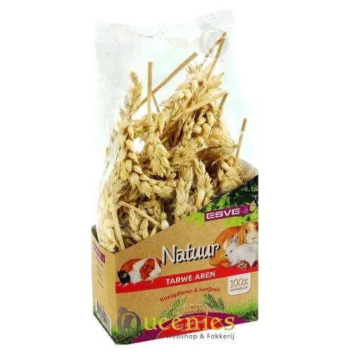 Tarwe aren voor Gerbils en hamsters - gezonde en natuurlijke snack
