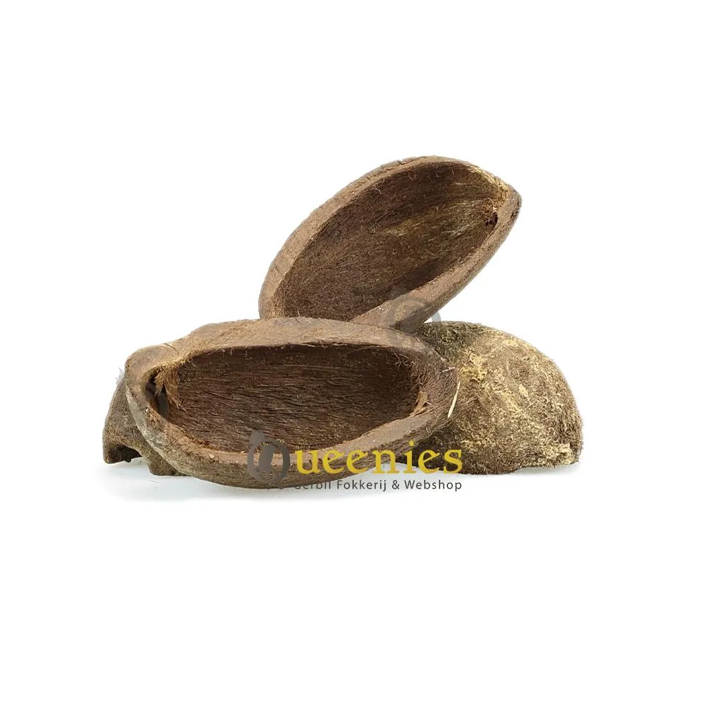 Halve Kokosnoot klein - Maak Kennis met Kokosnoten voor uw Knaagdier