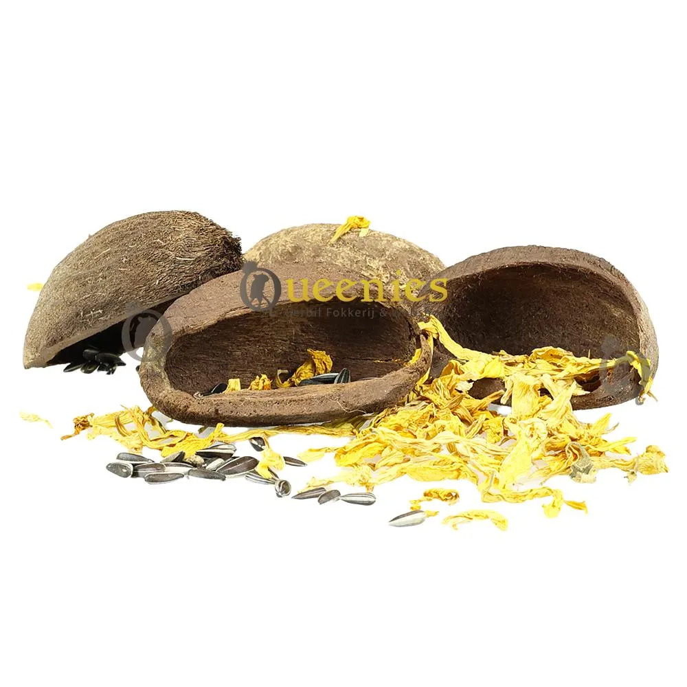 Halve Kokosnoot klein - Maak Kennis met Kokosnoten voor uw Knaagdier