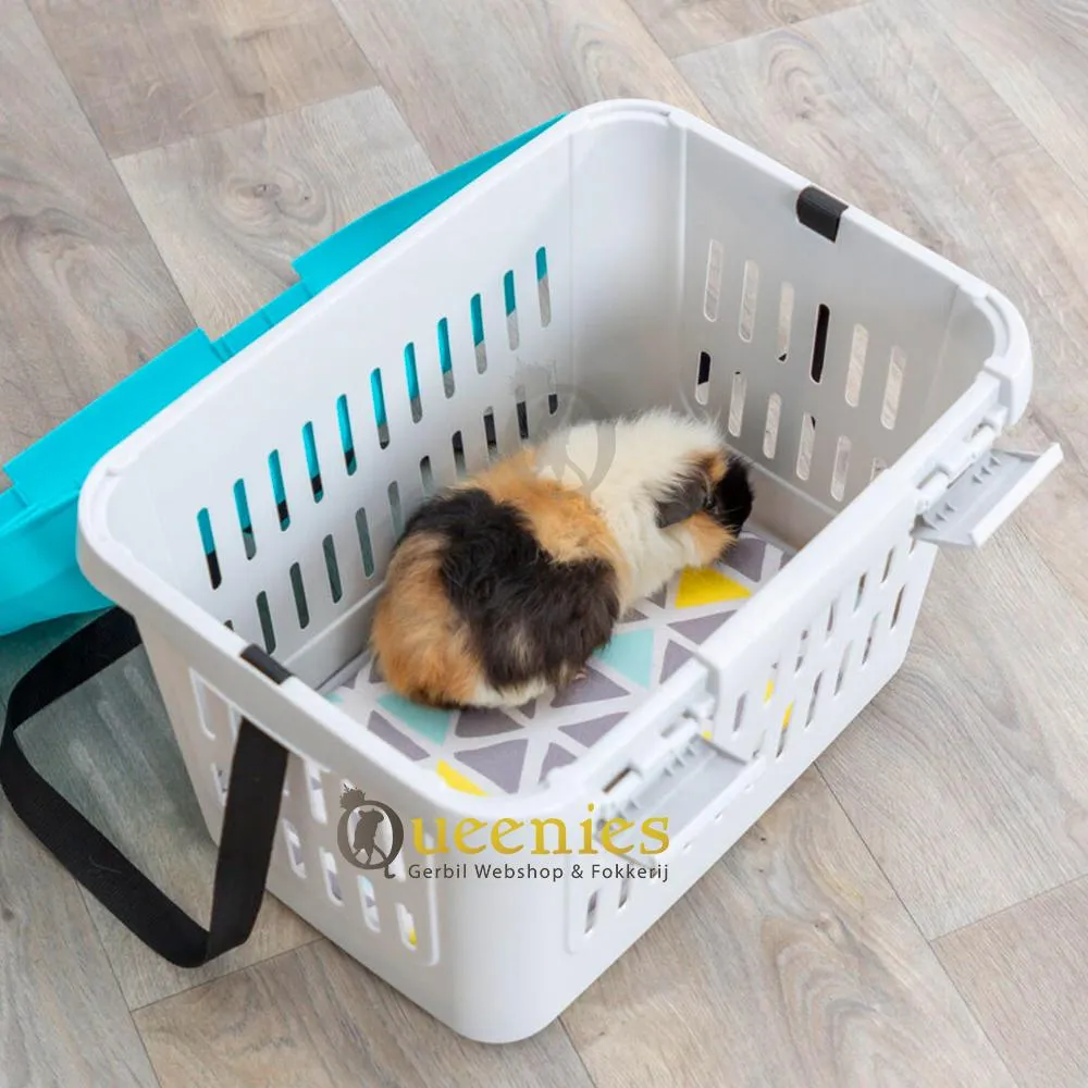 Vervoersbox Mini Capri voor Cavia’s en Konijnen