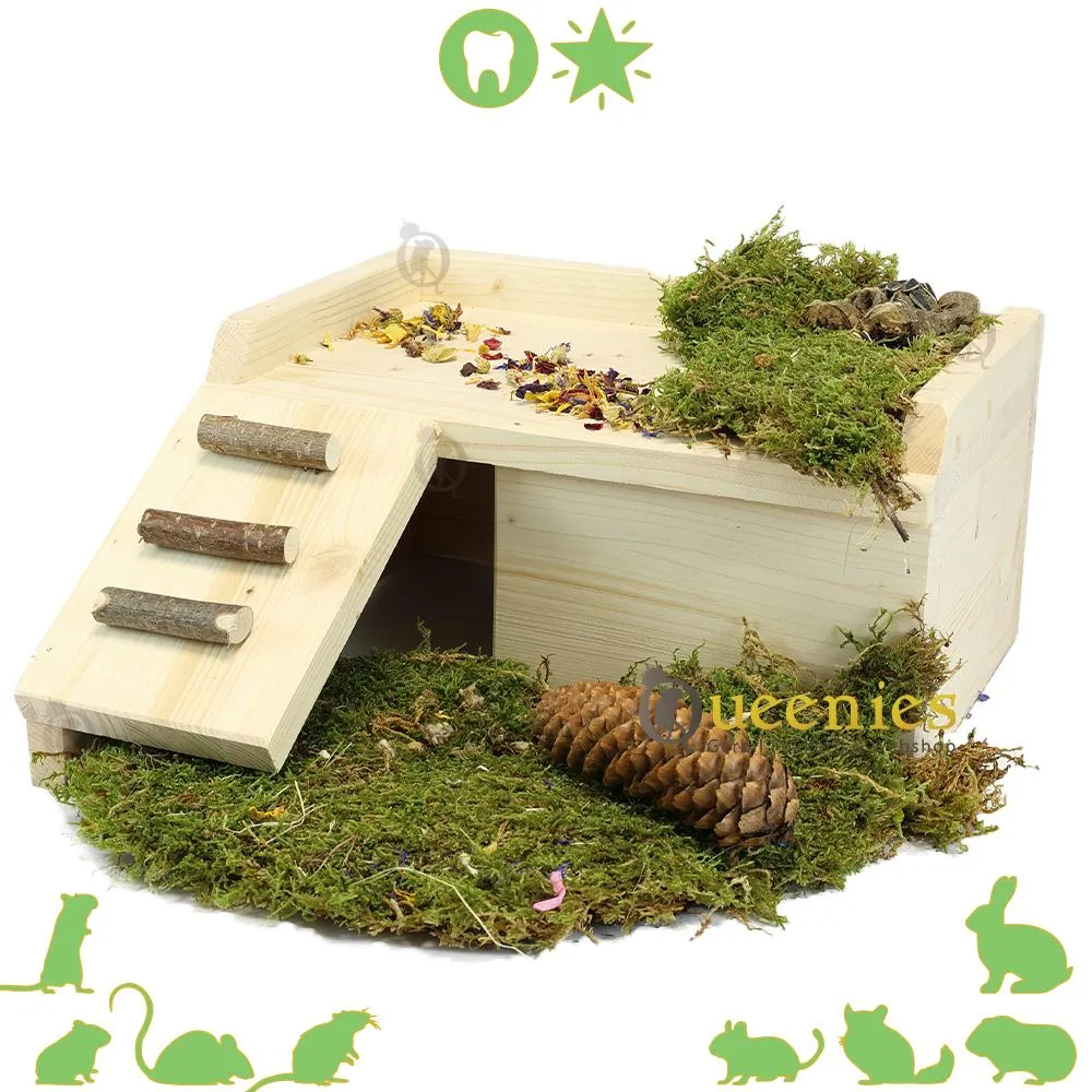 Knaagdier plateau Tilo 28 – 35 cm – Plateaus van hout voor Ratten