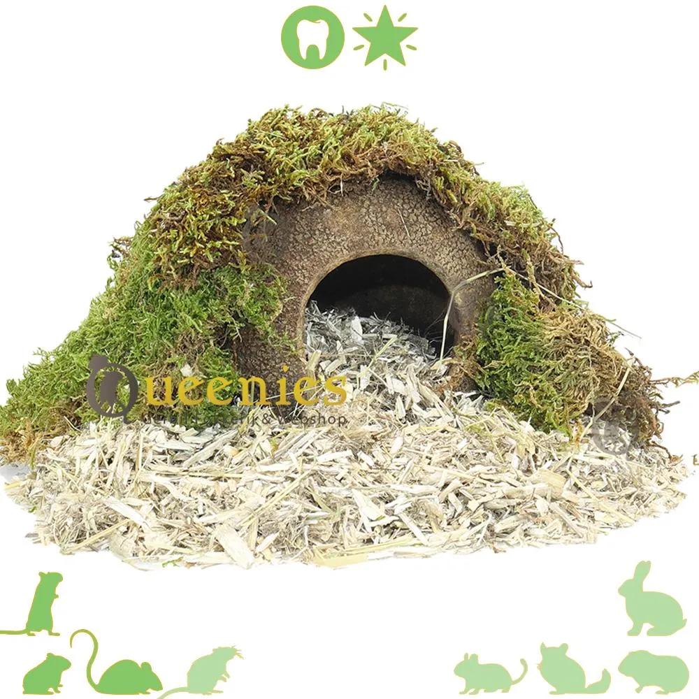 Hamster hut - Perfect voor de ultieme nature look in de hamsterscape