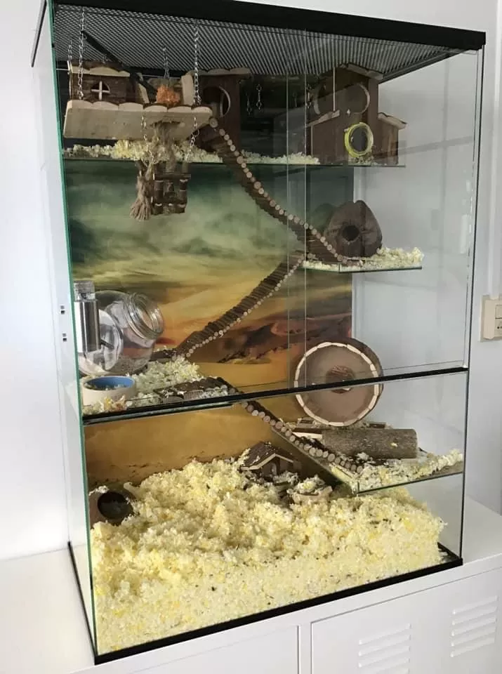 75x40x100 Gerbil / Degoe kooi van glas met schuifruiten voor knaagdier