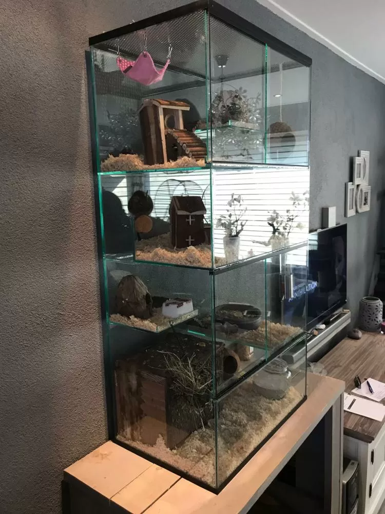 Degoe terrarium 60x40x120, ook geschikt voor knaagdieren en gerbils