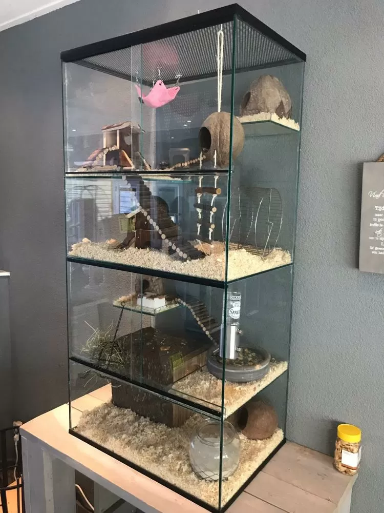 Degoe terrarium 60x40x120, ook geschikt voor knaagdieren en gerbils