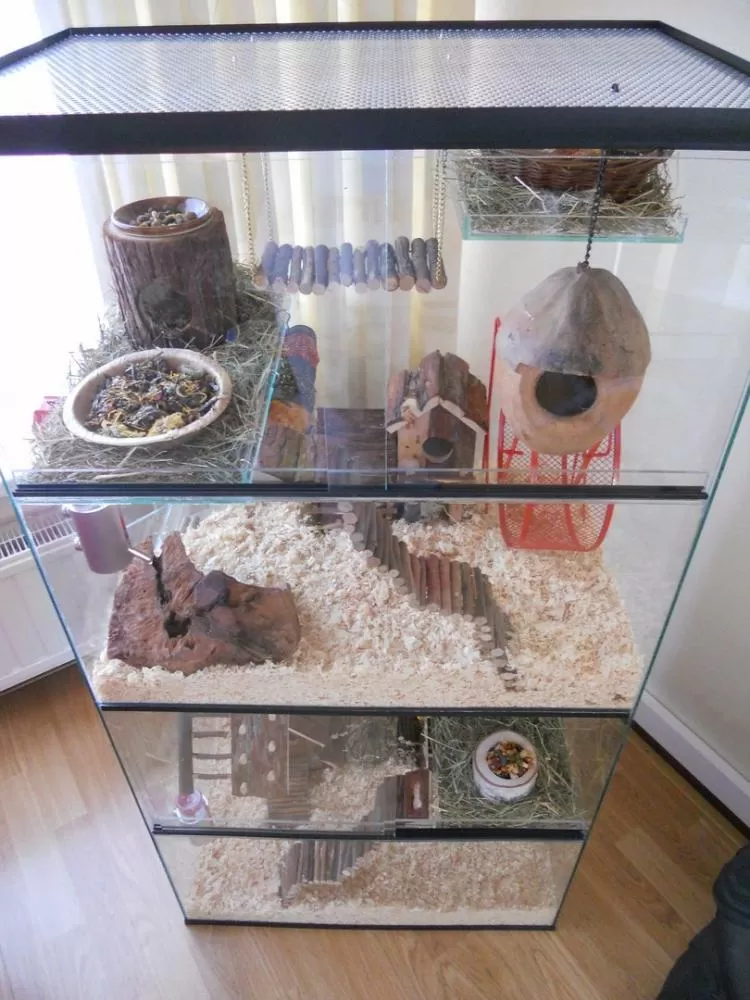 Degoe terrarium 60x40x120, ook geschikt voor knaagdieren en gerbils