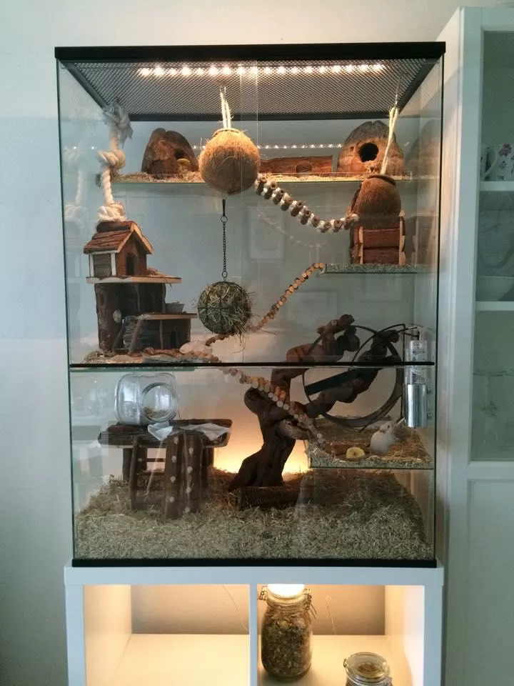 75x40x100 Gerbil / Degoe kooi van glas met schuifruiten voor knaagdier