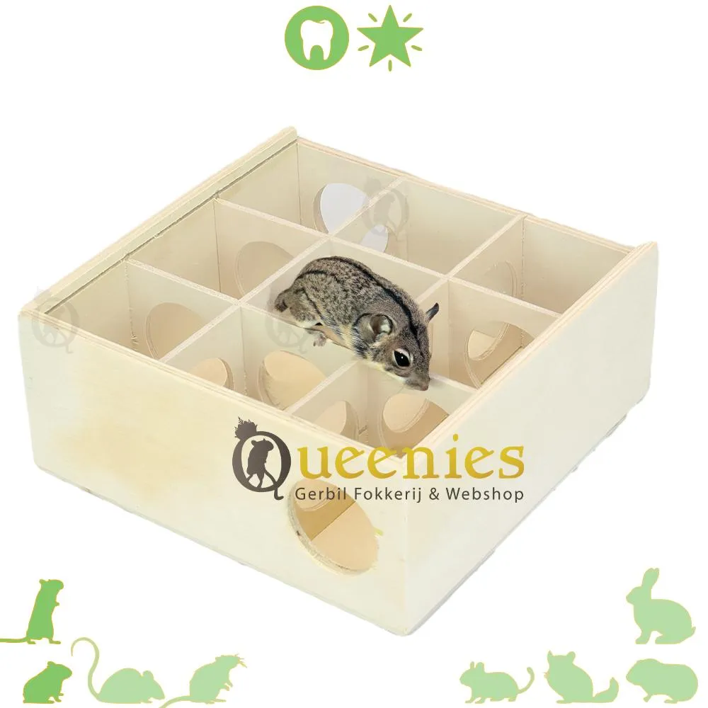 Doolhof Cleo - hoekgraven bij gerbils voorkomen - knaagdier speelgoed