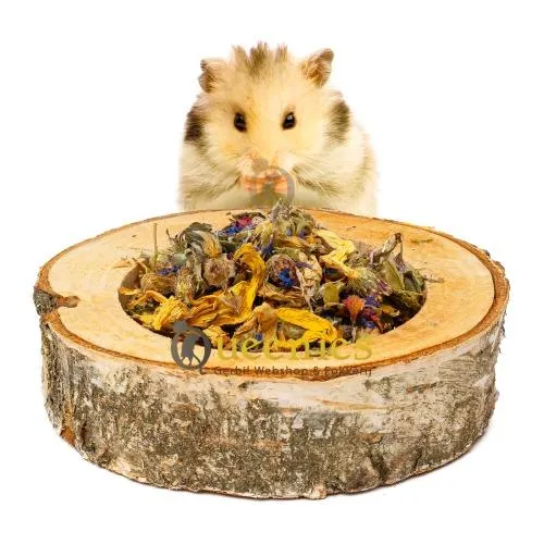 Voerbak van Berkenhout voor Hamsterscape - Hamsterscapings materialen