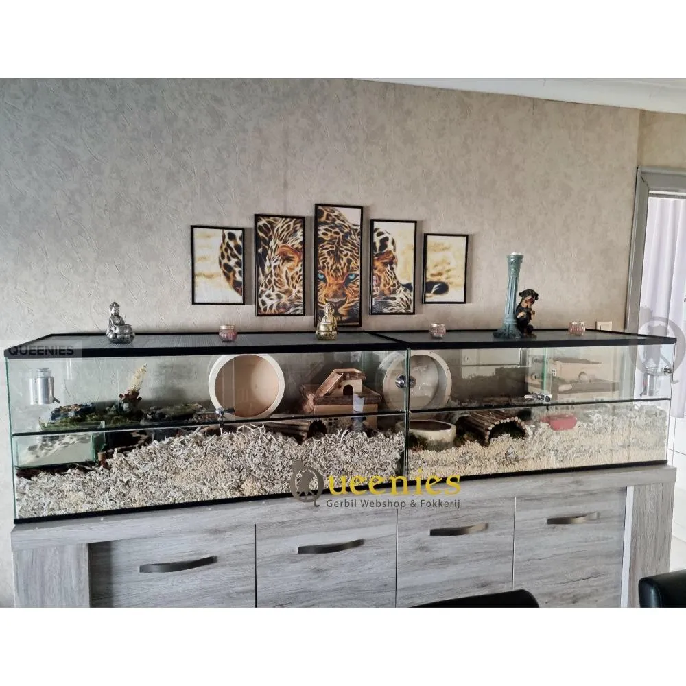 Grote Goudhamster kooien van glas - Knaagdier Terrarium zonder plateau