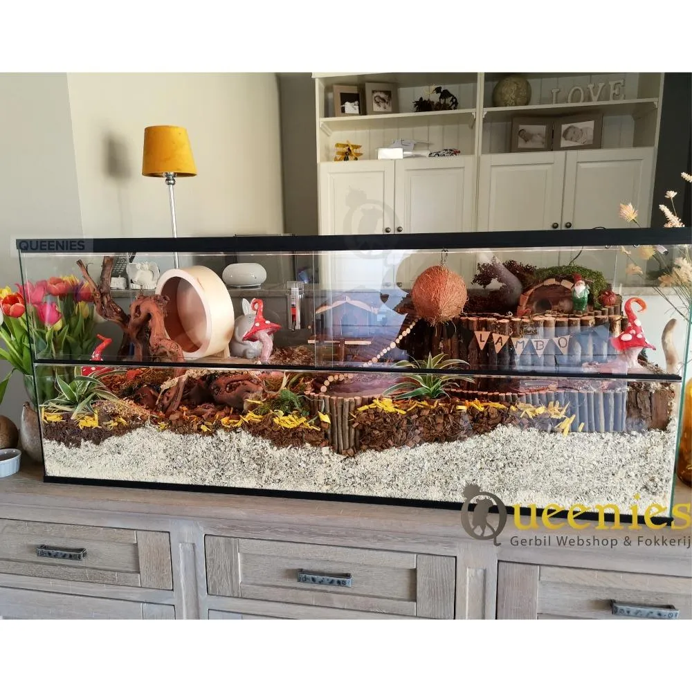 Grote Goudhamster kooien van glas - Knaagdier Terrarium zonder plateau