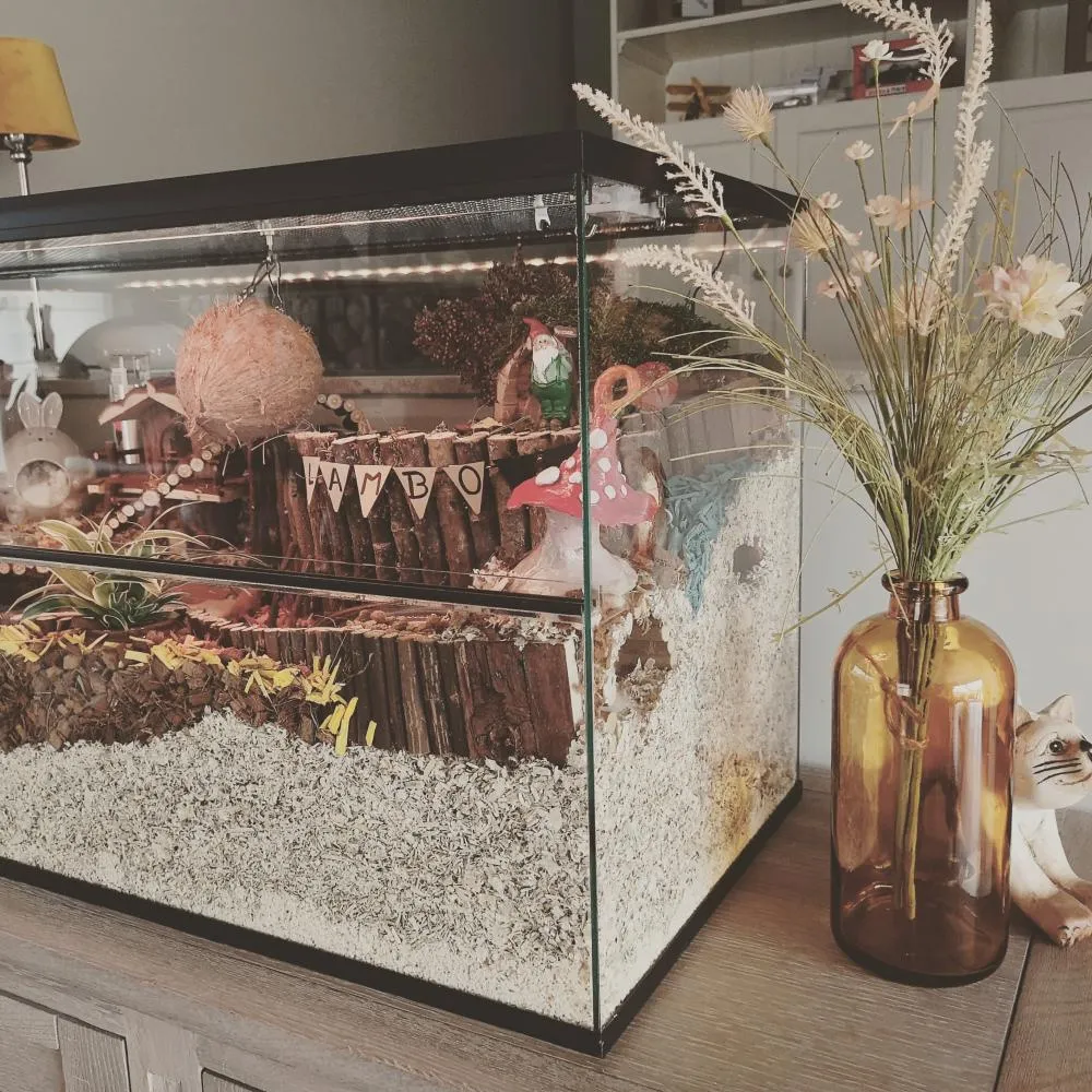 Hamster terrarium met schuifruiten zonder plateaus - Hamsterscaping