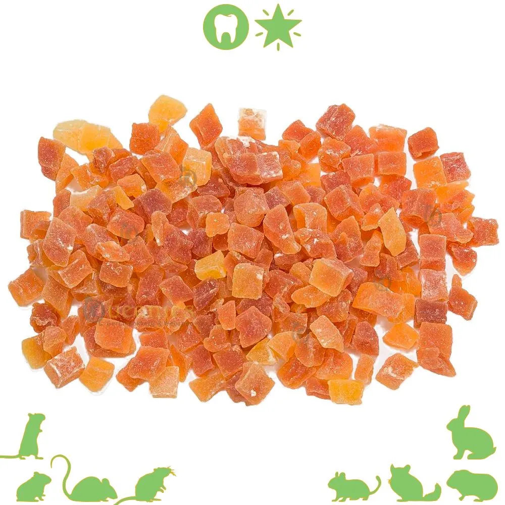 Knaagdier Topping Papaya - gezonde knaagdieren snack