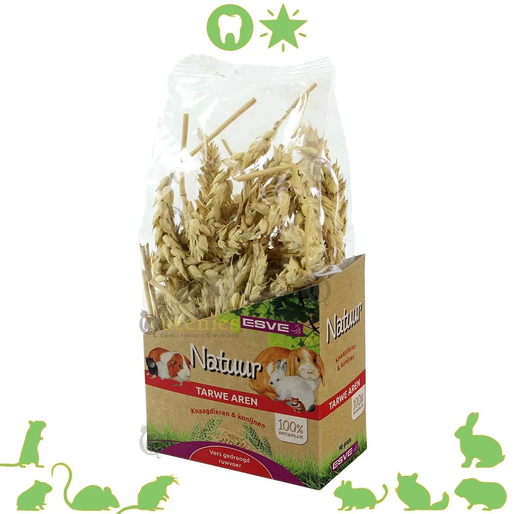 Tarwe aren voor Gerbils en hamsters - gezonde en natuurlijke snack