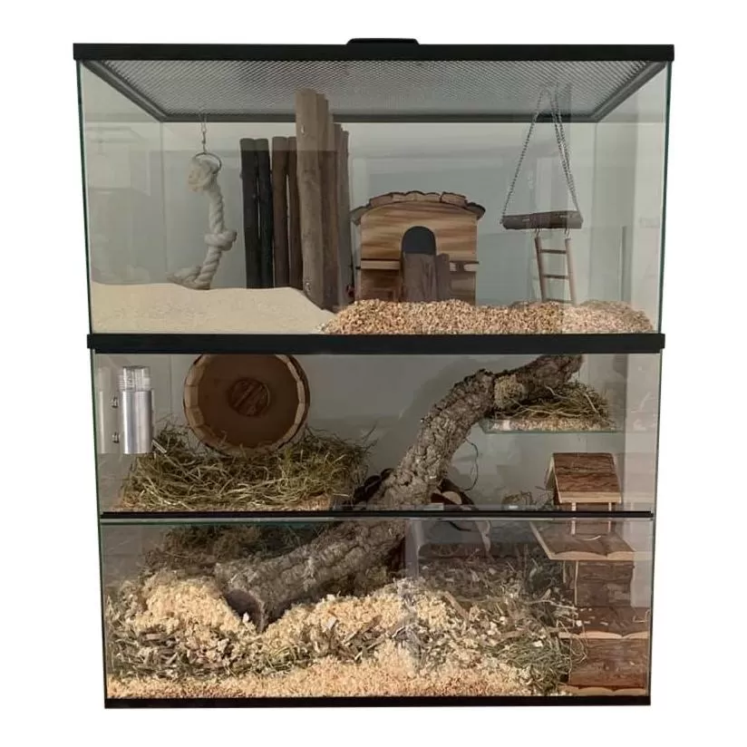 Uw Queenies gerbilarium upgraden met een opzetstuk voor Gerbil kooi
