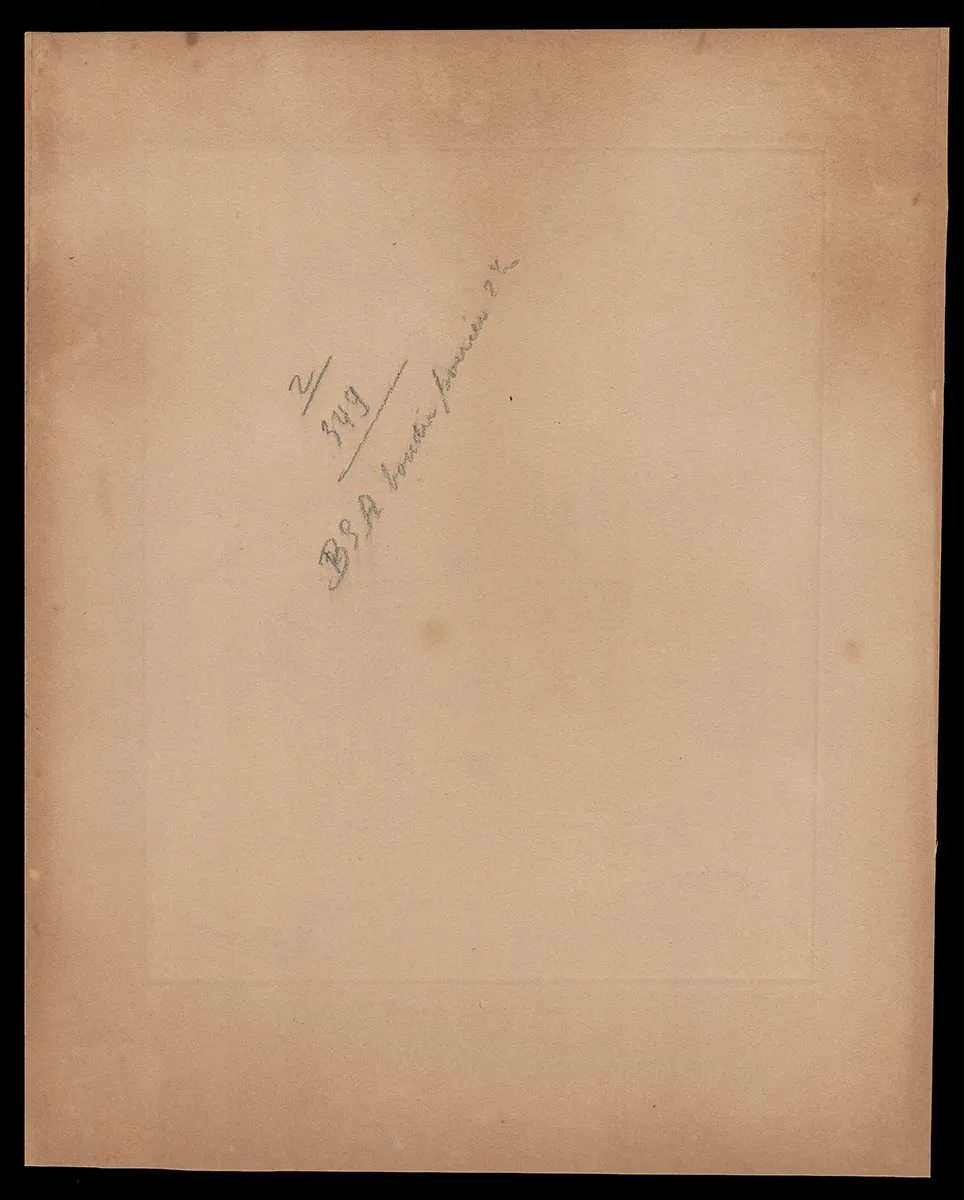 Dry needle etching by the Belgian artist Albert Geudens