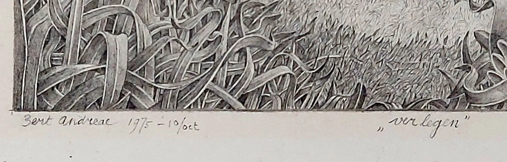 Kunstwerk uit 1975 kopen van de Nederlandse kunstenaar Bert Andreae