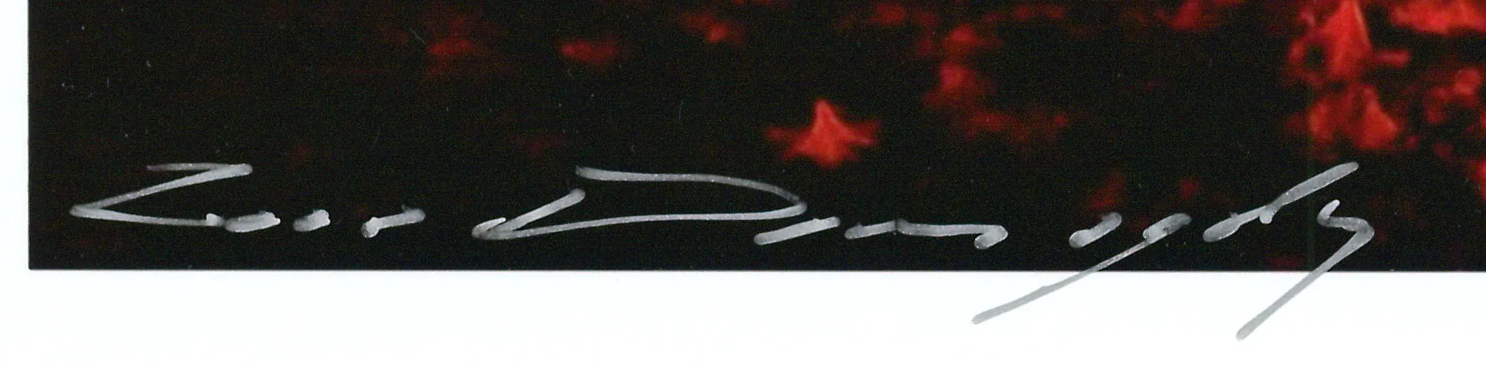 Art photo by Dutch photographer Paul Blanca, Cees Dam