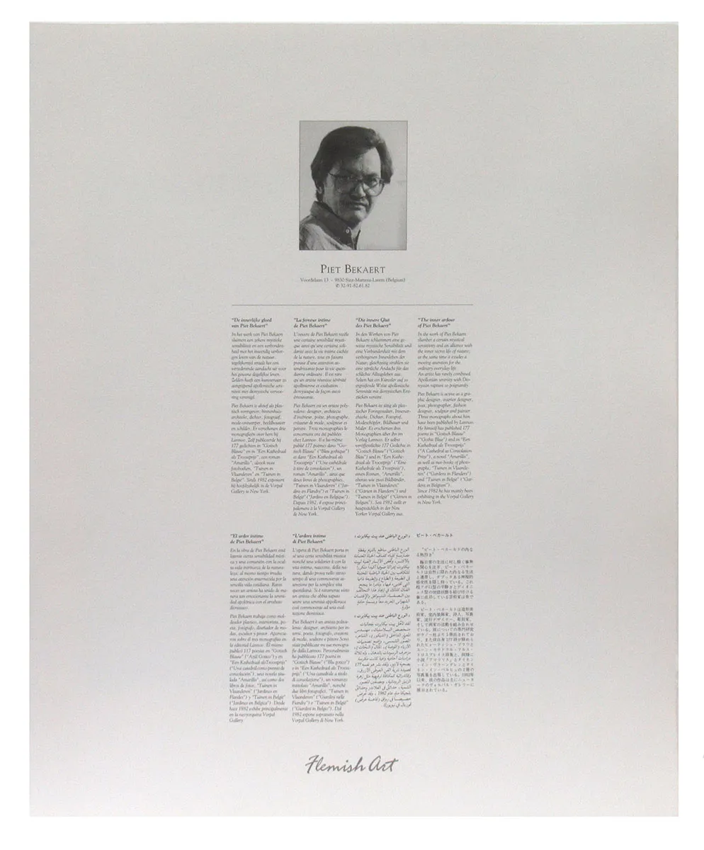 Litho van de Belgische Lithograaf en kunstenaar Piet Bekaert kopen