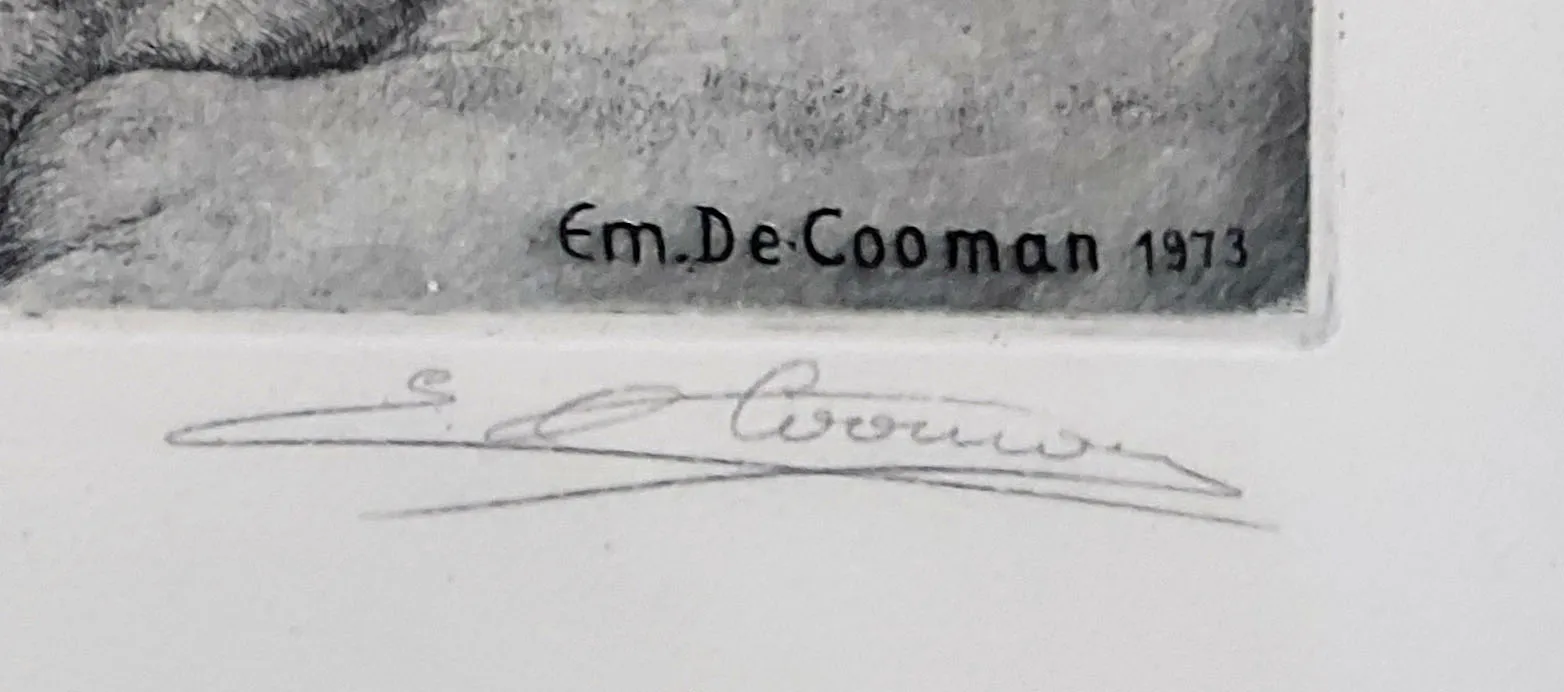 Ets van de Belgische kunstenaar Emiel De Cooman kopen
