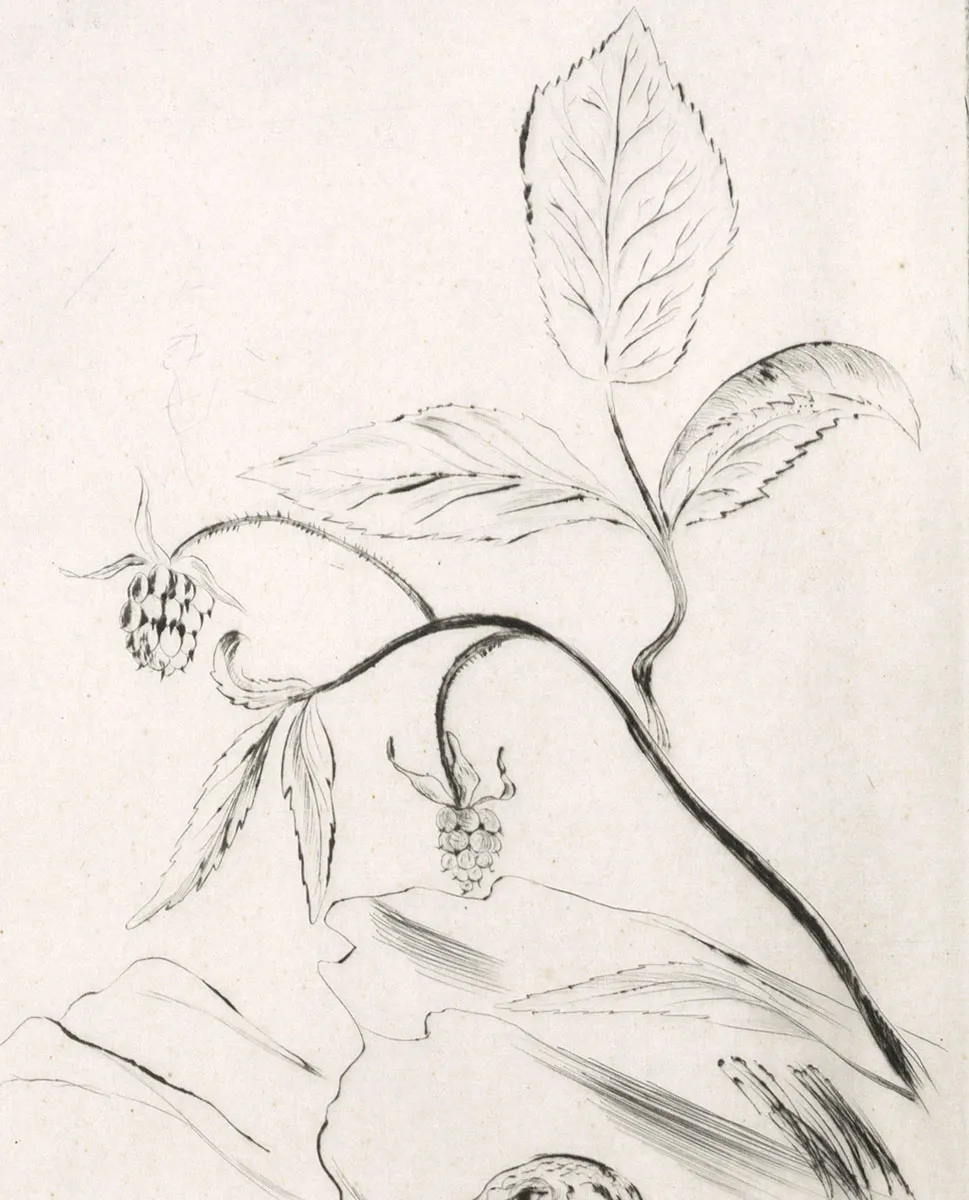 Droge naald ets uit 1948 van de Belgisch kunstenaar Frans Dille kopen