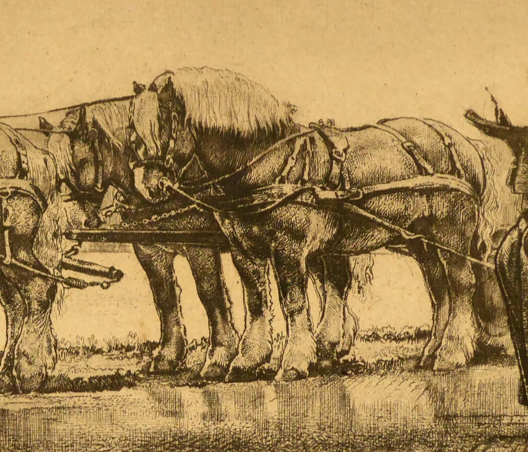 Bierwagen langs de Amstel in Amsterdam - Belgische kunstgalerij Belgische kunstenaars Kunst kopen