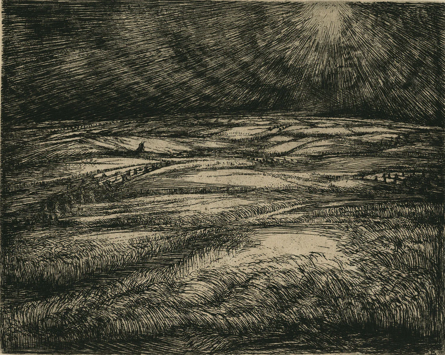 Buy Etching, Koren by the Belgian etcher Jacques Boonen