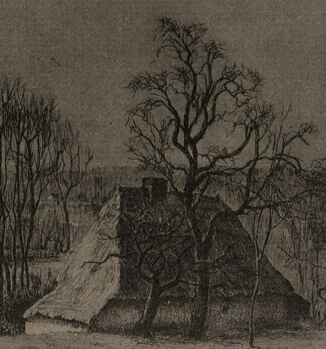 Grote ets van de Belgische etser Jan de Cooman kopen